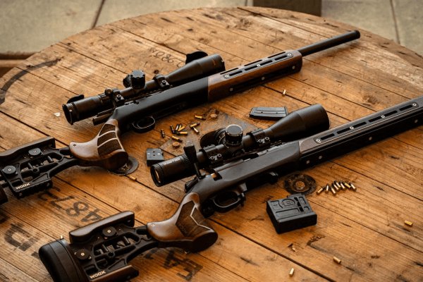 A Comprehensive Guide to Upgrading Your Rifle Trigger - WOOX