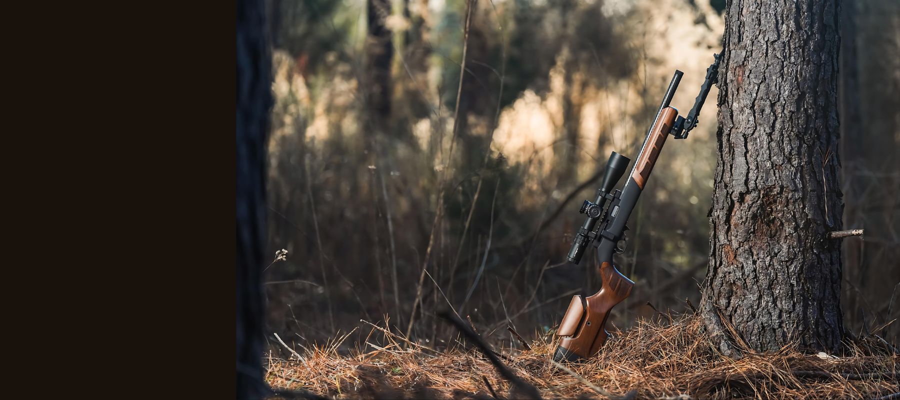 Ruger 10/22 Aftermarket Stocks | WOOX